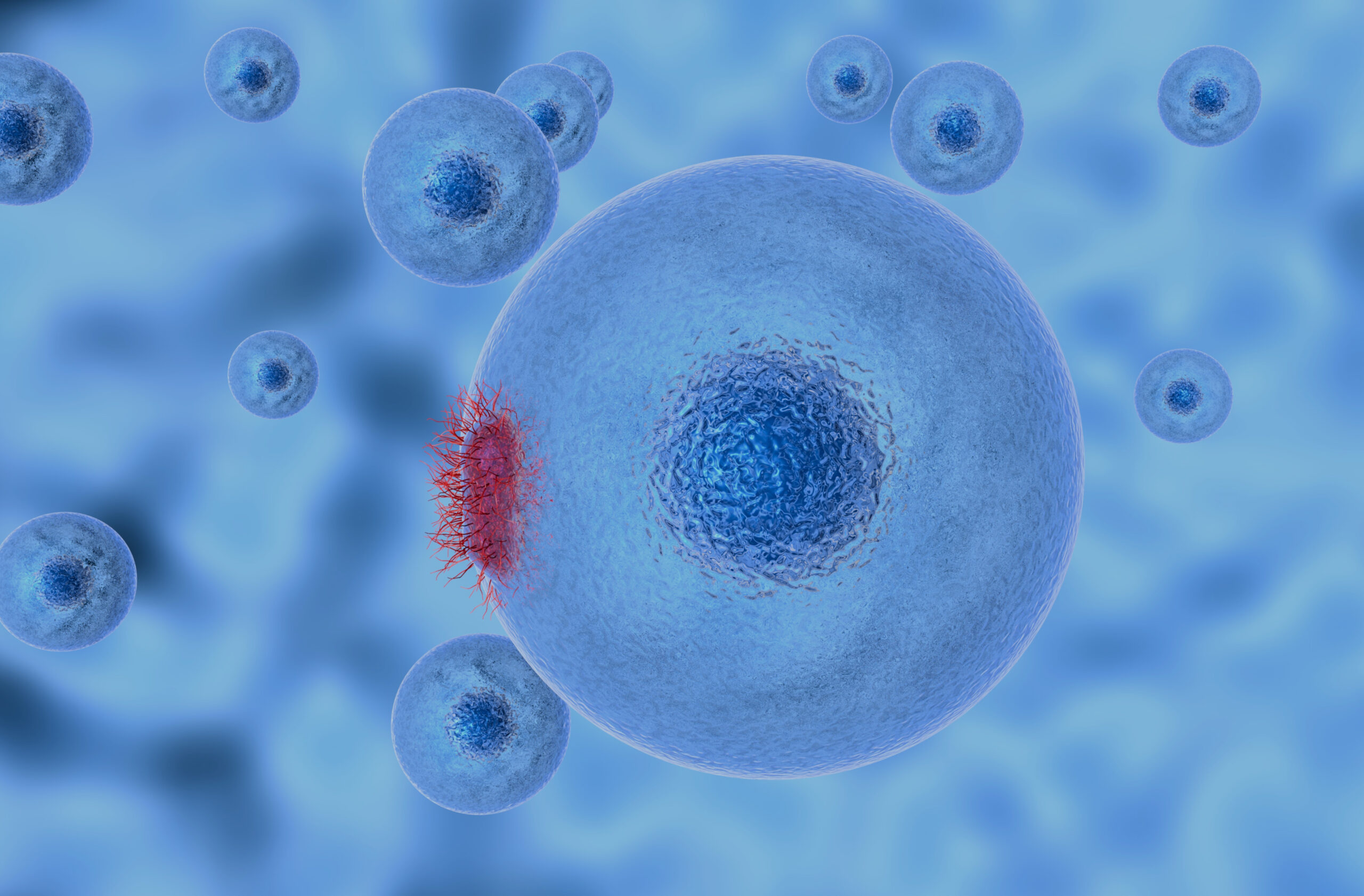 Comprehensive Cell Solutions - New York Blood Center Enterprises