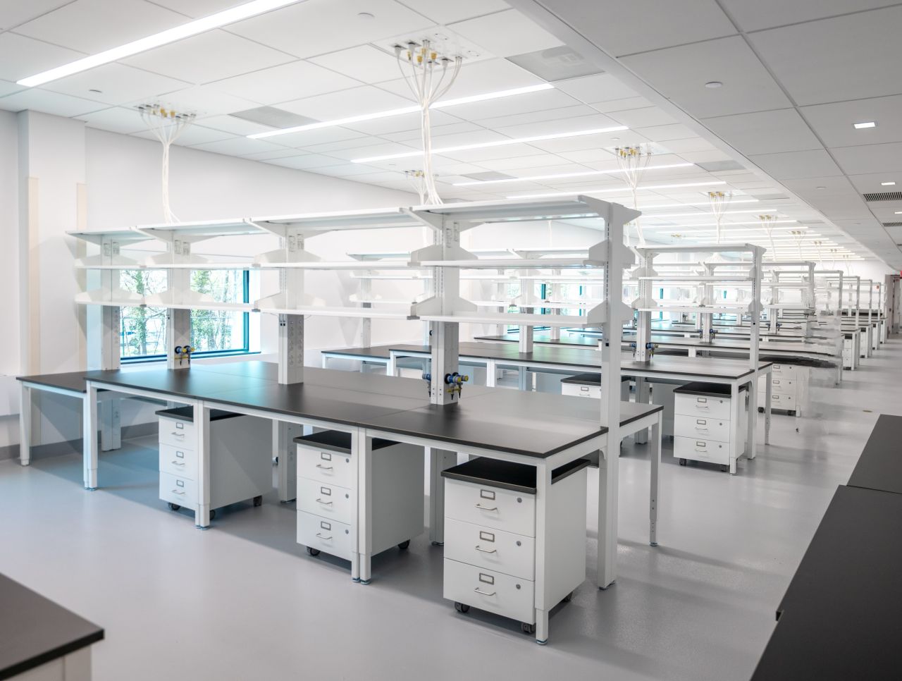 RYE BIO OPENS DOORS TO BIOTECH AND LIFE SCIENCES INNOVATORS AT NEW YORK ...